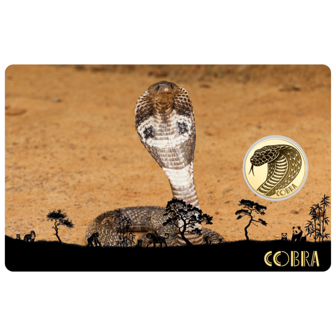 Cobra Coin Card - Gold Gift – Cardiff Gold