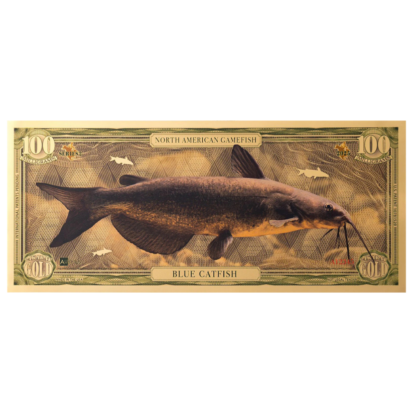 Blue Catfish Aurum Gold Note – Cardiff Gold